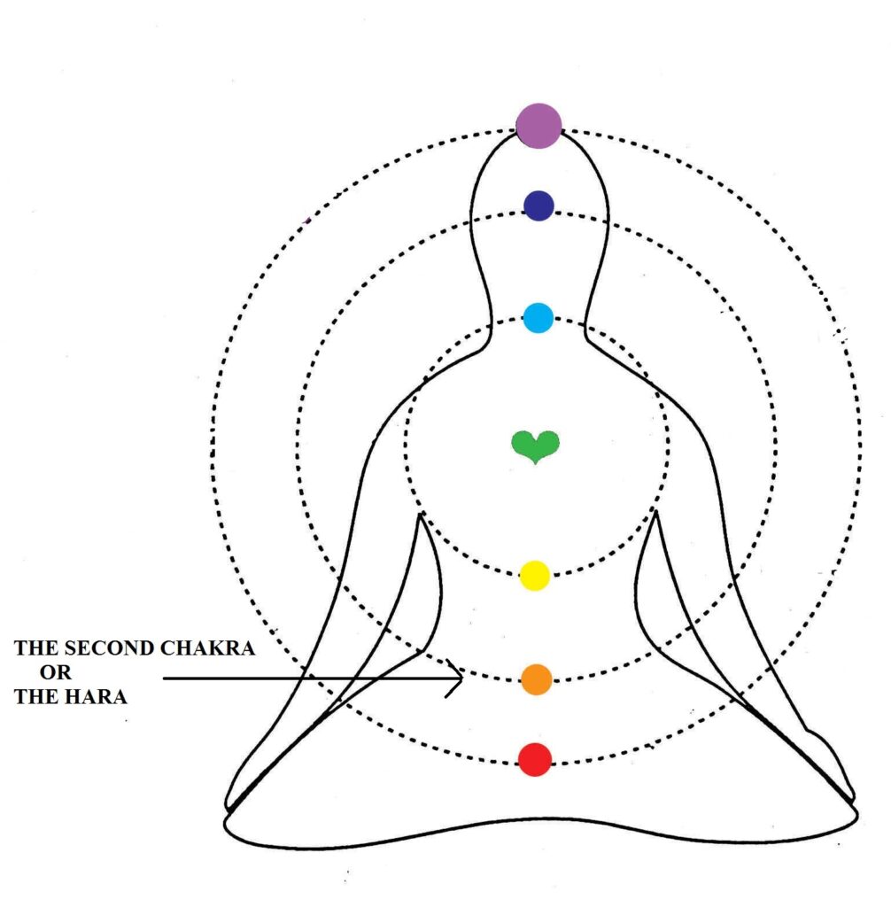 CENTRARSI NELL'HARA PER VIVERE CORAGGIOSAMENTE - Cammina Nel Sole